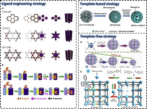 Metal Organic Framework Involved Nanobiocatalysis For Biomedical Applications Chem Catalysis