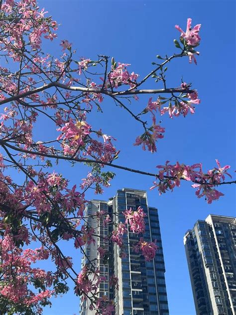 负债类常用会计科目：应付利息，应付利润和其他应付款解析，适用小企业会计准则 知乎