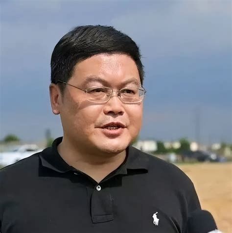 崇州新品种小麦创成都市最高单产天府粮仓丰收忙 澎湃号政务 澎湃新闻 The Paper