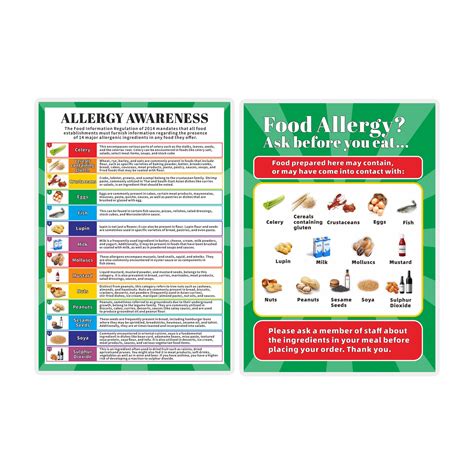 2 Pcs Food Allergy Awareness Poster A4 Laminated Stay Safe With 14