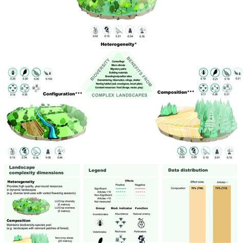 Direction And Strength Of The Effect On Biodiversity Of Each Landscape Download Scientific