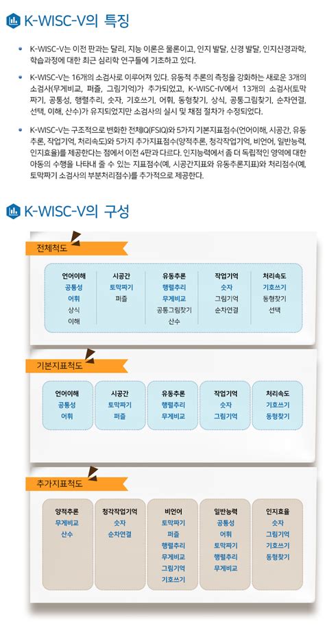 K Wisc V 웩슬러 아동용 지능검사 전달 강의 A10