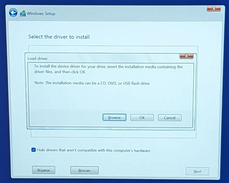 External Hdd Not Detected In Windows 11 At Willie Wells Blog