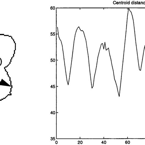 An Example Of The Centroid Distance Function Download Scientific Diagram