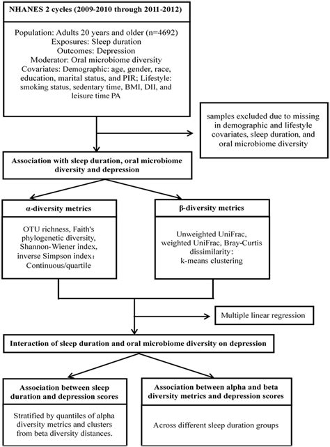 schematic diagram of data preprocessing and analytic methods download scientific diagram