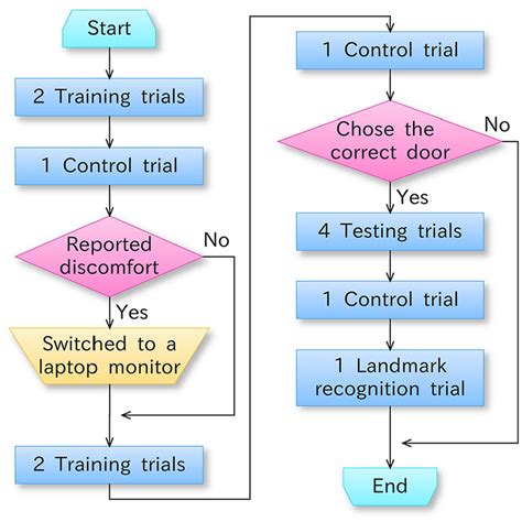 Methodological Flowchart Of The Experiment Download Scientific Diagram