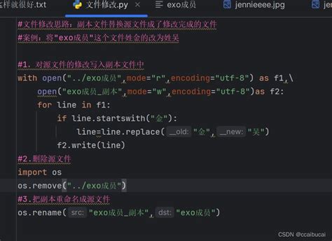 Python之文件操作 Csdn博客 Python之文件操作 Csdn博客