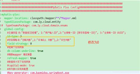Mybatis Plus Updatebyid方法更新不了空字符串null解决方法mybatisplus Updatebyid有时没用