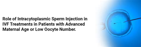 Role Of Intracytoplasmic Sperm Injection In Ivf Treatments In Patients