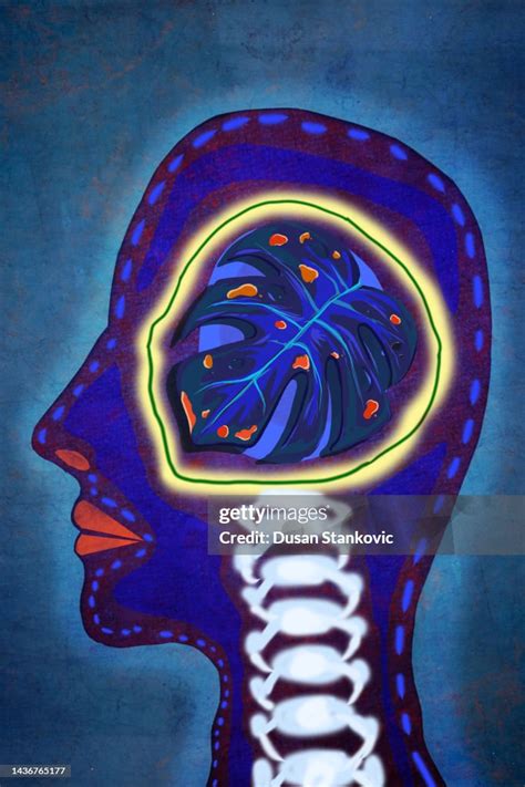 Mental Health Concept High Res Vector Graphic Getty Images