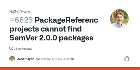 PackageReference Projects Cannot Find SemVer Packages Issue NuGet Home GitHub
