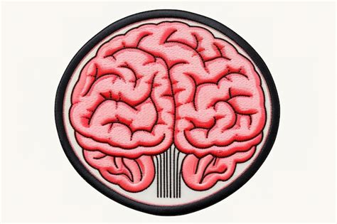 Premium Vector Structure Of Human Brain Section Schematic Raster