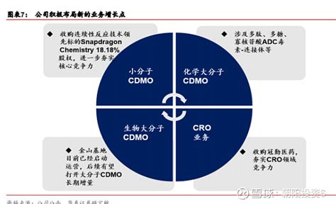 全球 Cdmo 行业龙头之一 凯莱英002821 一、cdmo行业概况cdmo 全称为“医药合同定制研发生产企业”，是指接受制药公司委托，提供医药特别是创新药的工艺研发及 雪球