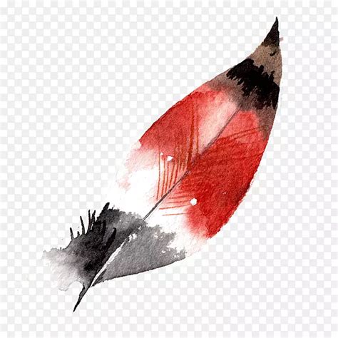 水彩羽毛PNG图片素材下载 图片编号7374573 PNG素材网