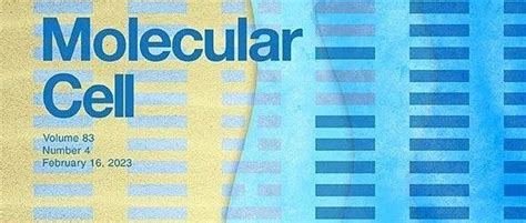 Molecular Cell 真核生物dna复制起始 知乎