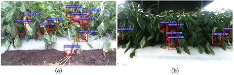 Deepfruits A Fruit Detection System Using Deep Neural Networks