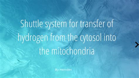 shuttle system for transfer of hydrogen from the cytosol into the mitochondria by hemdev