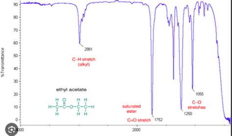 Lab Final Flashcards Quizlet Lab Final Flashcards Quizlet
