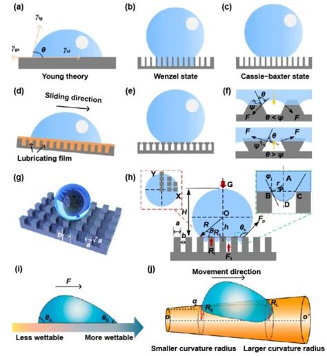 吉林大学等 L 仿生特殊润湿性宏观阵列结构材料的最新研究进展—从表面工程到功能应用 3d科学谷