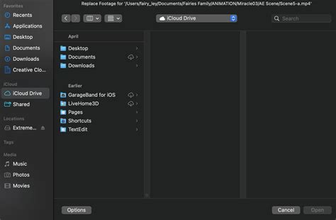 Cannot Locate Lost Files From Icloud Folder It N Adobe Community