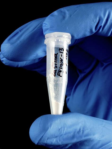 Extraction Of Fossil Dna 4 Photograph By Science Photo Library Pixels