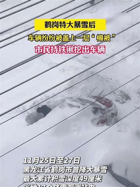 黑龙江省鹤岗市普降大暴雪，最大累计积雪深度49厘米社会预警预报好看视频