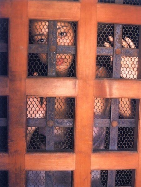 Cornicopia Of Asian Sluts In Various Sexy Settings 15 Photos