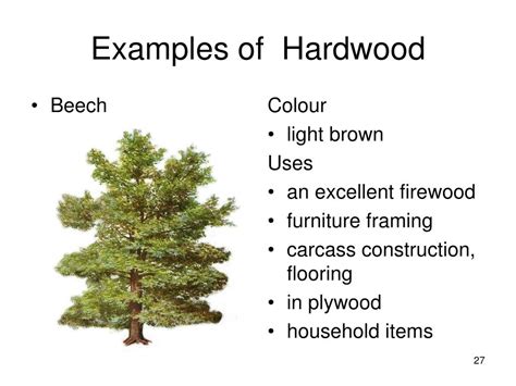 Hardwood Trees Examples