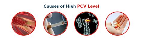 Understand The Test And Normal Range Of Pcv Ganesh Diagnostic