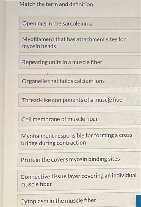 Solved Match The Term And Definition Chegg Com