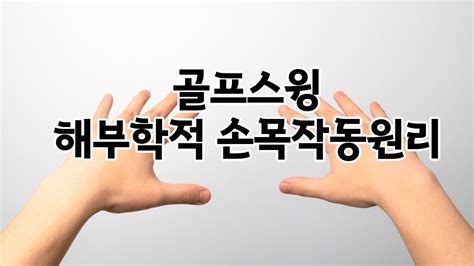 골프스윙에서의 해부학적인 손목 작동원리 Youtube