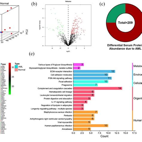 Proteomics Analysis Reveals Differential Protein Expression In The Bone Download Scientific
