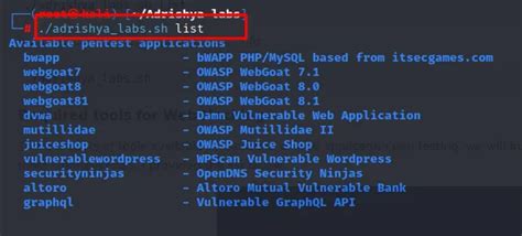 What Is Website Hacking Web Application Penetration Testing Lab Setup