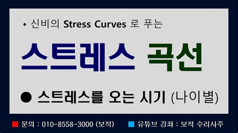 스트레스 곡선 스트레스 테스트와 해소하는 법 탄생 Youtube