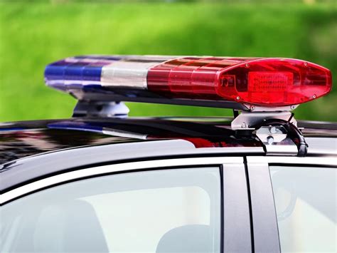 Falling Tree Kills NJ Motorcycle Rider Hackettstown NJ Patch