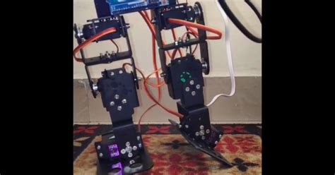 Biped Walking Robot