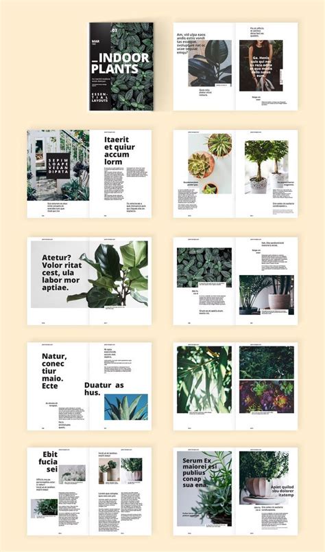 Indoor Plants Magazine Template Indd Catalog Design Layout Catalog Cover Design Magazine