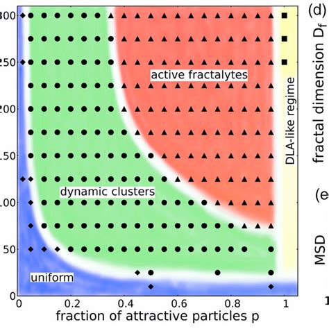 Phase Diagram Cluster Sizes And Fractal Dimension Typical Download Scientific Diagram