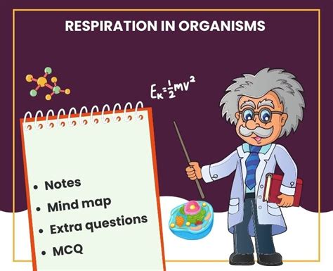 Respiration In Organisms Class 7 Notes And Mindmap For Cbse