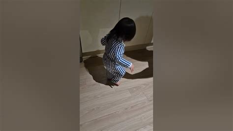 그림자 쫓는 아기맹수 Youtube