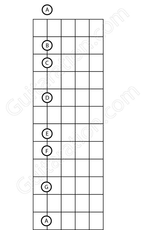 A Helpful Illustrated Guitar Fretboard Notes Guide