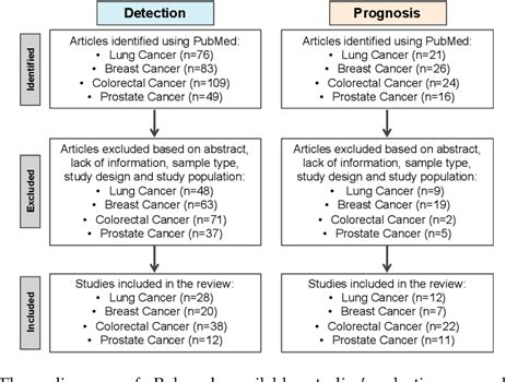Figure 2 From Dna Methylation Based Testing In Liquid Biopsies As Detection And Prognostic