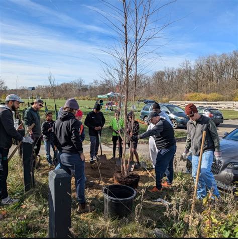 Columbus Tree Assistance Program Franklin Soil And Water Conservation