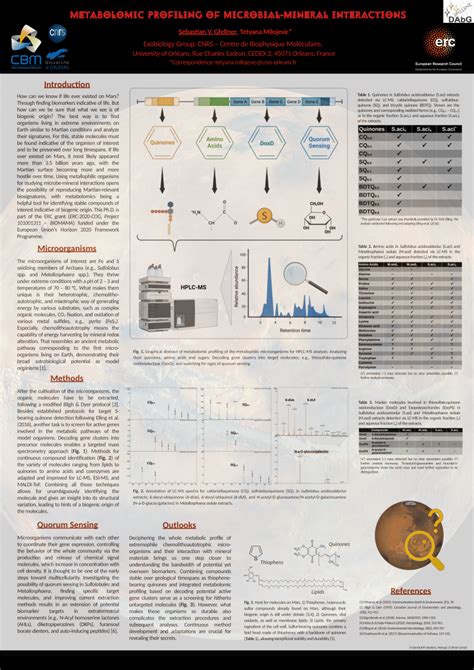 Pdf Metabolomic Profiling Of Microbial Mineral Interactions