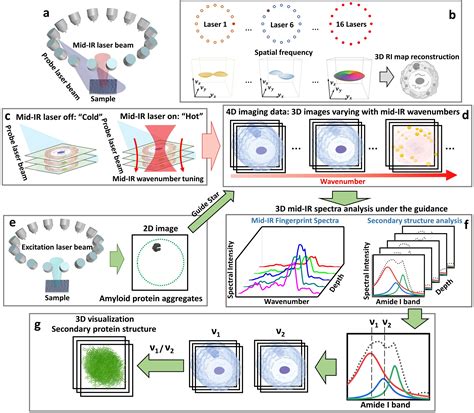 Computational Mid Infrared Photothermal Imaging Unveils Intracellular