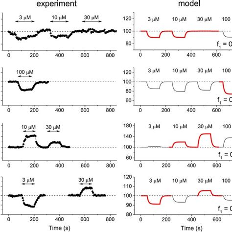 Simulations Showing Ability Of The Mathematical Model To Reproduce Download Scientific Diagram