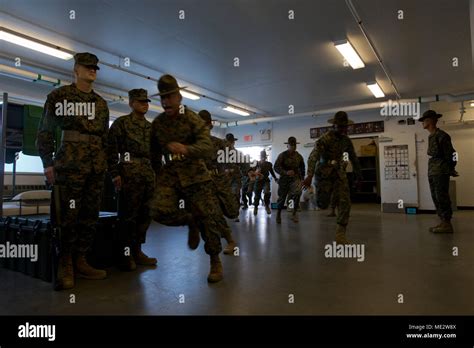 Drill Instructors From Mike Company 3rd Recruit Training Battalion