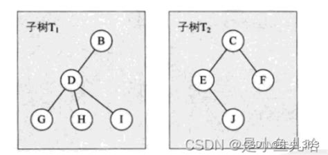 【数据结构初阶】第七节树和二叉树的性质 Csdn博客