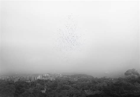 Robert Zhao · Climates Habitats Environments