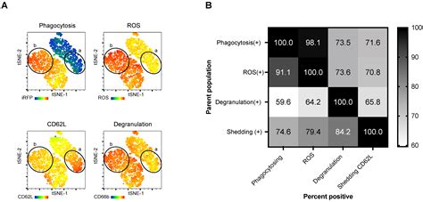 Multiparametric Flow Cytometry Cell Sorting At Ronald Wooton Blog